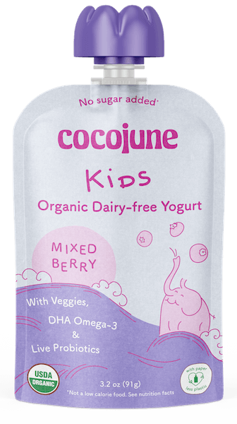 YOGURT 91G COCOJUNE KIDS BERRY – Nature Sante