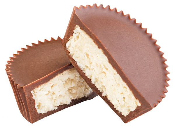 CUP 52G NOIX DE COCO EATLOVE – Nature Sante