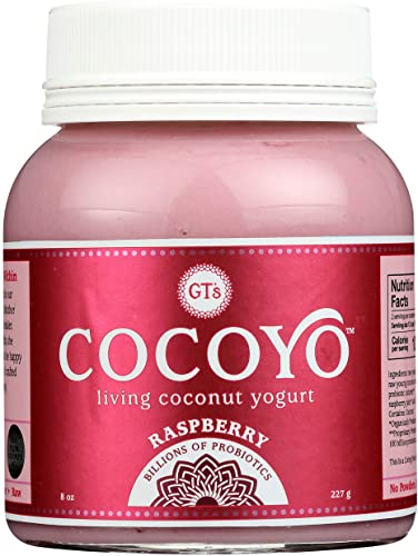 YOGURT 237M COCOYO RASPBERRY – Nature Sante