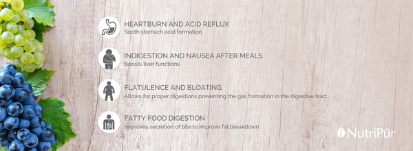 HEPATOL 60CAP.NUTRIPUR – Nature Sante